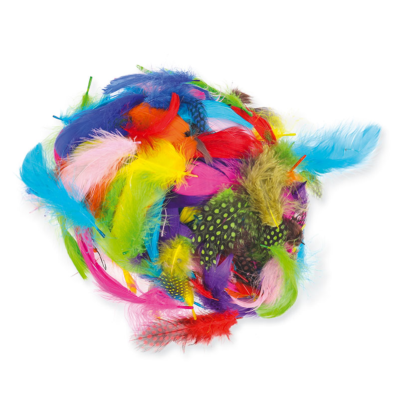 Federn Bunt - Hahn/Perlhuhn,